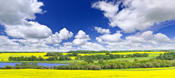 Sustainable Canadian Agricultural Partnership-Alberta