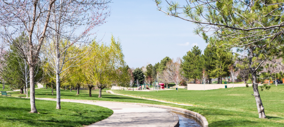 Urban and Community Forestry Program