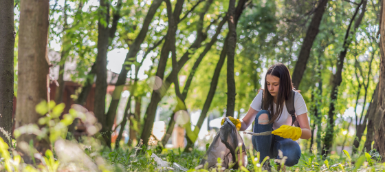 Regional Conservation Partnership Program (RCPP)